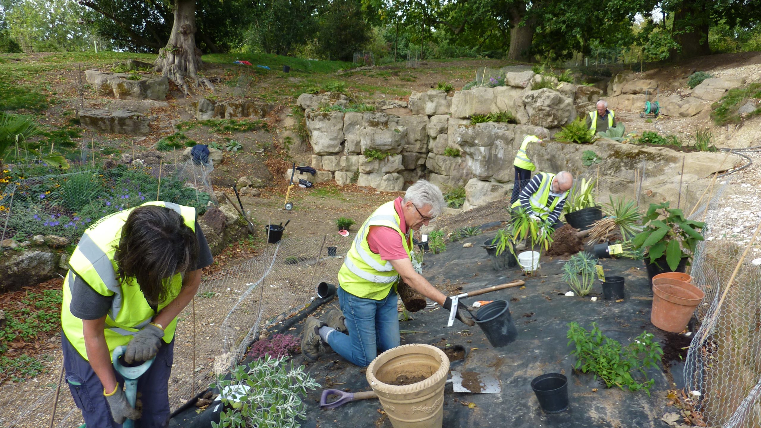 The Danesbury Fernery Recovered